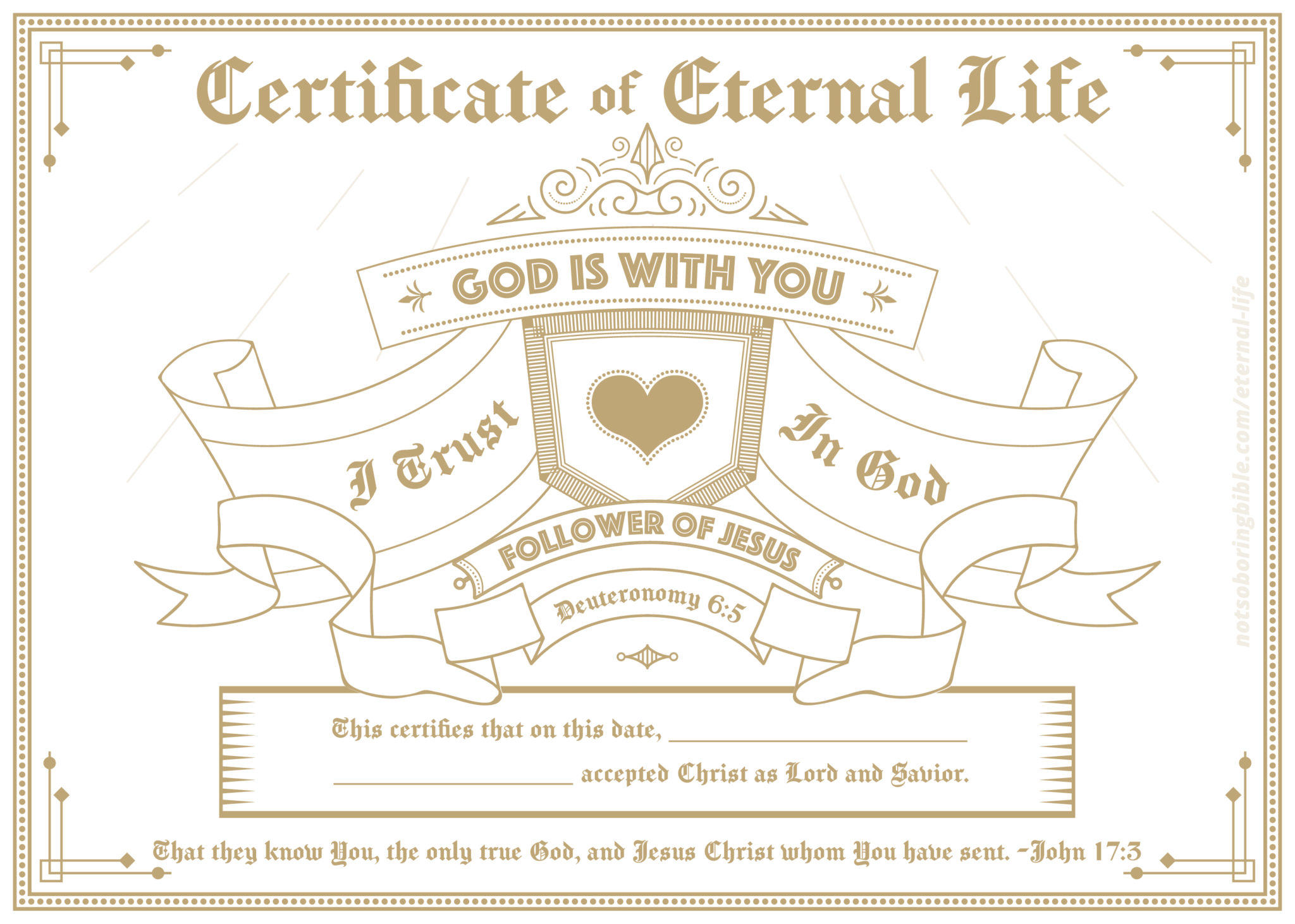 Eternal Life - Not So Boring Bible